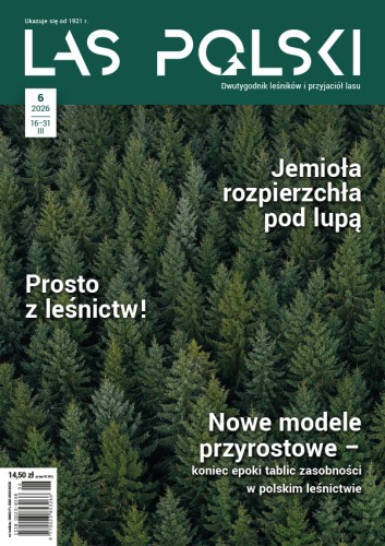 Las Polski nr 06/2026 – czasopismo dla leśników | Sklep OIKOS